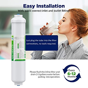 75 GPD RO Membrane and 2x T33 Inline Carbon Filters by Membrane Solutions