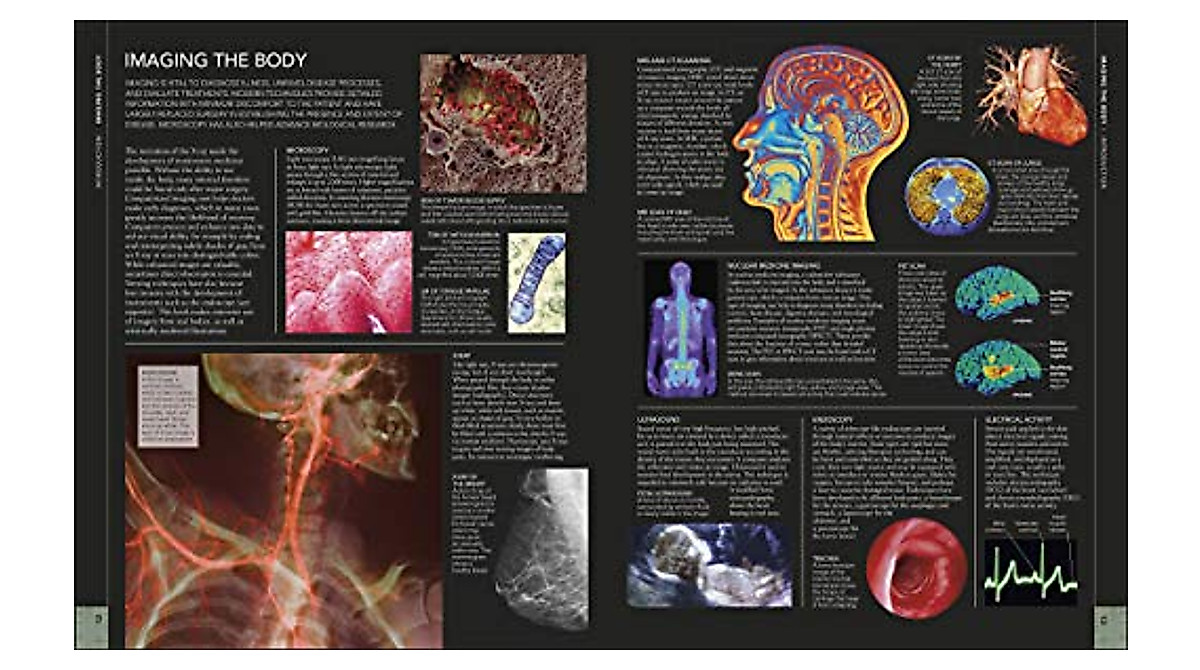 Explore the Human Body: Illustrated Anatomy Guide