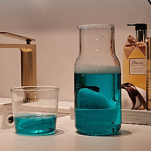 ZILJJ 500ml Bedside Water Carafe Set with Tumbler Glass Set for Bedroom Nightstand, Glass Mouthwash Bottle for Bathroom,Clear Glass Juice Water Pitcher,Night Water Carafe with Cup Set (17.5 oz)