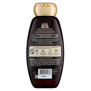 Garnier Whole Blends Ginger Shampoo 12.5oz