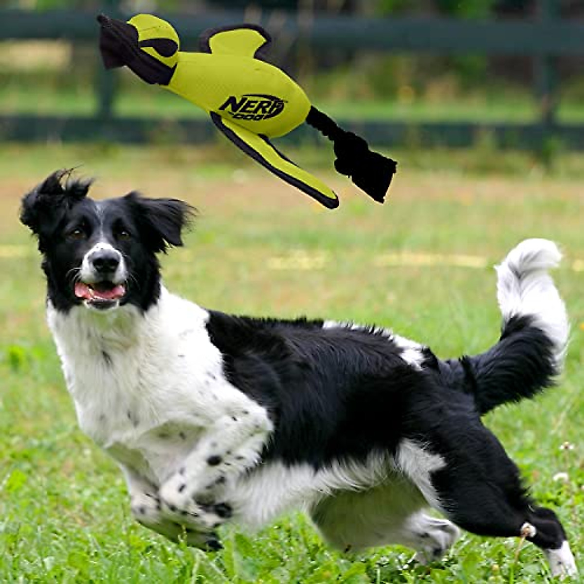 Nerf Dog Large Nylon Launching Duck with Interactive Design, Green