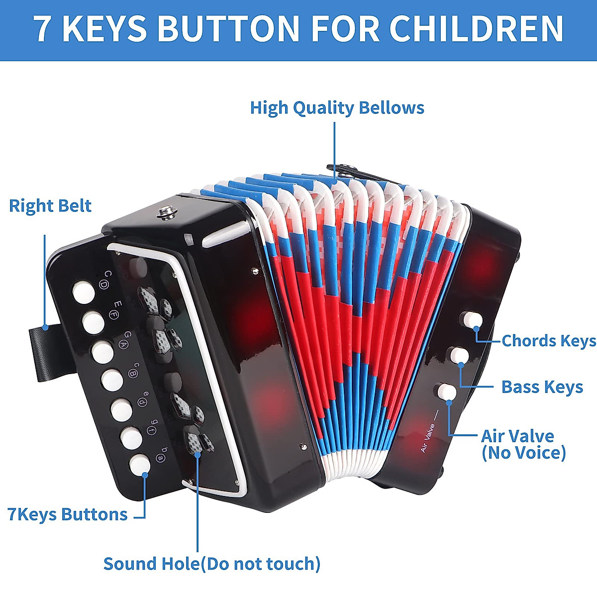Kids Accordion, Horse 10 Keys Control Kids Accordion Musical Instruments for Kids Children Beginners Lightweight and Environmentally-friendly (Black)