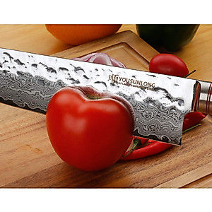 YOUSUNLONG Gyuto 10 inch Pro Chef's Knives Japanese Hammered Damascus Natural Leadwood Handle with Leather Sheath