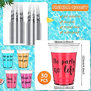 30 Pcs 16 oz Disposable Clear Plastic Cups Bulk Party Drinking Water Cocktail Beer Cups for Adult Parties Wedding Birthday Reception Beverage Tea Lemonade Serving Supplies