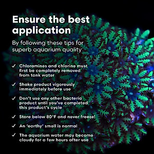 Brightwell Aquatics MicroBacter Start XLM - Concentrated Freshwater Nitrifying Bacteria - Quick Start Fish Tank Starter, Lift Microbe Levels & Water Filtering - Aquarium Water Treatments, 16.9 fl oz