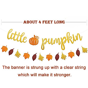 Glitter Little Pumpkin Banner Fall Baby Shower Gender Reveal Birthday Party for Kid's Birthday Party Decor Autumn Thanksgiving little pumpkin baby shower decorations