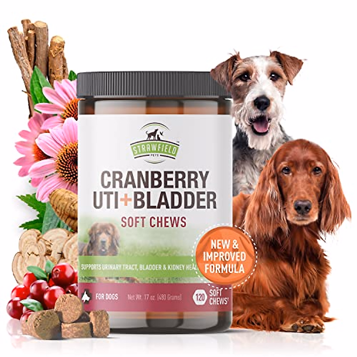 Cranberry Supplement for Dogs -120 Grain Free Dog Treats - Cranberry Chews for Urinary Tract Infection Treatment UTI Relief Bladder Control Support UT Incontinence - D-Mannose, Organic Echinacea, USA