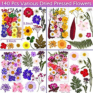 140 Pcs Dried Pressed Flowers for Resin, Real Pressed Flowers Dry Leaves Bulk Natural Herbs Kit for Scrapbooking DIY Art Crafts, Epoxy Resin Jewelry Molds, Candle, Soap Making, Nails Décor