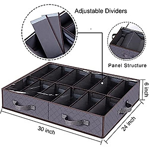 Anyoneer Under Bed Shoe Storage Organizer, Set of 2, Sturdy Structure, Adjustable Dividers, Reinforced Handle, Sturdy Zipper, Fits 24 Pairs Total, Underbed Storage Solution with Clear Window, Breathable, Gray