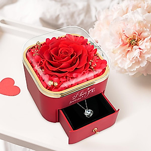 COOLCAA Glass Rose Flowers Gifts for Women,Birthday Gifts for Mom,Gifts for Girlfriend,Gifts for Wife,Valentines Day Gifts, Red