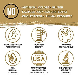 Ambrosia Kinetic Organic Preworkout, Mushroom Enhanced Natural Pre Workout Supplement, Nootropic Superfood Powder for Energy (Blue Raspberry)