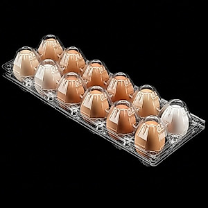 MANCHAP 80 Pack 12 Grids Clear Egg Cartons, Plastic Egg Cartons Bulk, Empty Chicken Egg Tray Holder for Family Pasture, Agricultural Market, Each Holds 1 Dozen Eggs