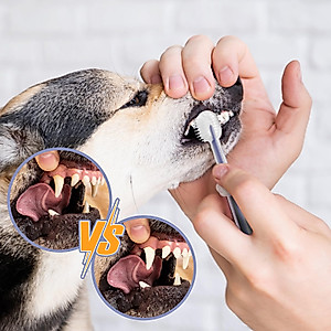 FOVRLZSE Pet Toothbrush Kit,360 Silicone Dog/Cat Toothbrush with Tongue Scrape（3pcs，Purple）