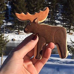 Mountain Wildlife Cookie Cutters 3-Pc. Set Made in USA by Ann Clark, Bear, Moose, Fish