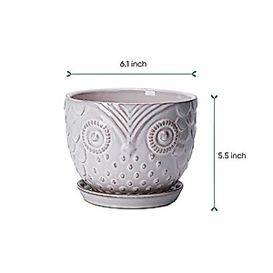 Greenaholics Owl Planters Ceramic Animal Plant Pots- 6.1 Inch White Succulents Aloe Planter Indoor Large Animal Flower Pots with Attached Tray and Drainage Hole for Cactus Snake Plant Decorative Gifts
