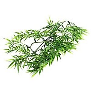 Zoo Med Laboratories SZMBU19 Natural Bushy Madagas Bamboo, Small