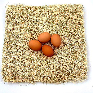 Backyard Barnyard 12 Pack Chicken Nesting Box Pad Made in USA! 13 x 13 Excelsior Liner for Coop Aspen Hay Fiber Poultry Bedding for Egg Laying Hens Pollos Chook