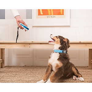 Doggie Don't Device- Handheld Sound Only Dog Training Corrector- Better and More Humane Than a Shock Collar- Stop Barking and Other Naughty Behaviors - Created by a Dog Lover in The USA