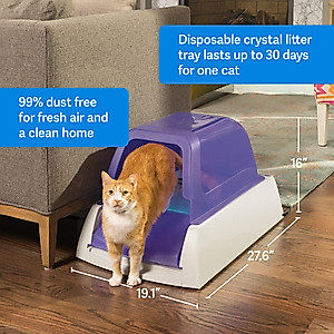 PetSafe ScoopFree Ultra Self-Cleaning Cat Litter Box – Automatic with Disposable Tray – Purple Covered
