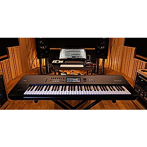 Korg Nautilus 61-Key Performance Synth Workstation Bundle with Sustain Pedal, MIDI Cables, and Austin Bazaar Polishing Cloth