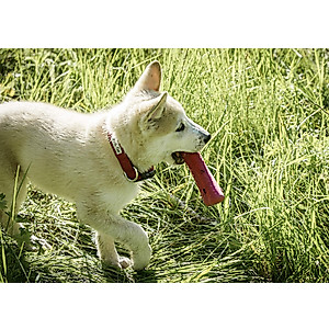 Wo Bone Dog Toy Cranberry Small