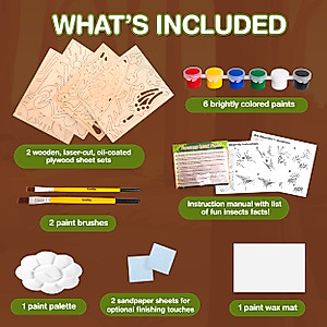 CoolToys Intrepid Insects Paint n' Play 3D Model and Craft Kit - Educational and Fun 3D Wooden Models Building and Painting Set for Kids Ages 6+ - Creative STEM Art Project for Boys and Girls