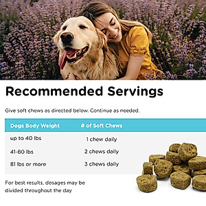 Nutri-Vet Hemp Calming Soft Chews for Dogs- with Chamomile and Melatonin - Peanut Butter & Honey Flavor - 12.7 Ounces
