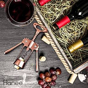 Wing Corkscrew Set by Hanee (Rose Gold) - Wine Bottle Opener - Wine Opener & Beer Bottle Opener with Foil Cutter and Pouch, Wine Accessories For Kitchen Chateau Restaurant Bars and Waiters
