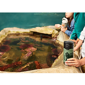 Stanley FlowSteady Bear Cub Bottle, 12oz, Stainless Steel Insulated Water Bottle for Kids (8 and Above) with 3 Interchangeable Metal Badges, Hammertone Green