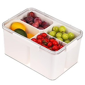 Moretoes 1 Pack Veggie Tray with Lid Sealed Sectioned Fruit Snack Serving Platter Vegetable Storage with 4 Compartments Fruit Storage Containers for Fridge (7.8L)
