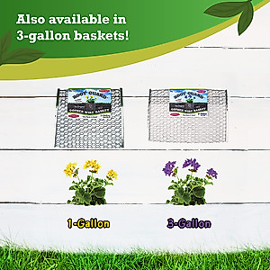 Digger’s 1-Gallon Heavy-Duty Wire Basket - Gopher Wire Basket for Perennials & Vegetables (12 Baskets)