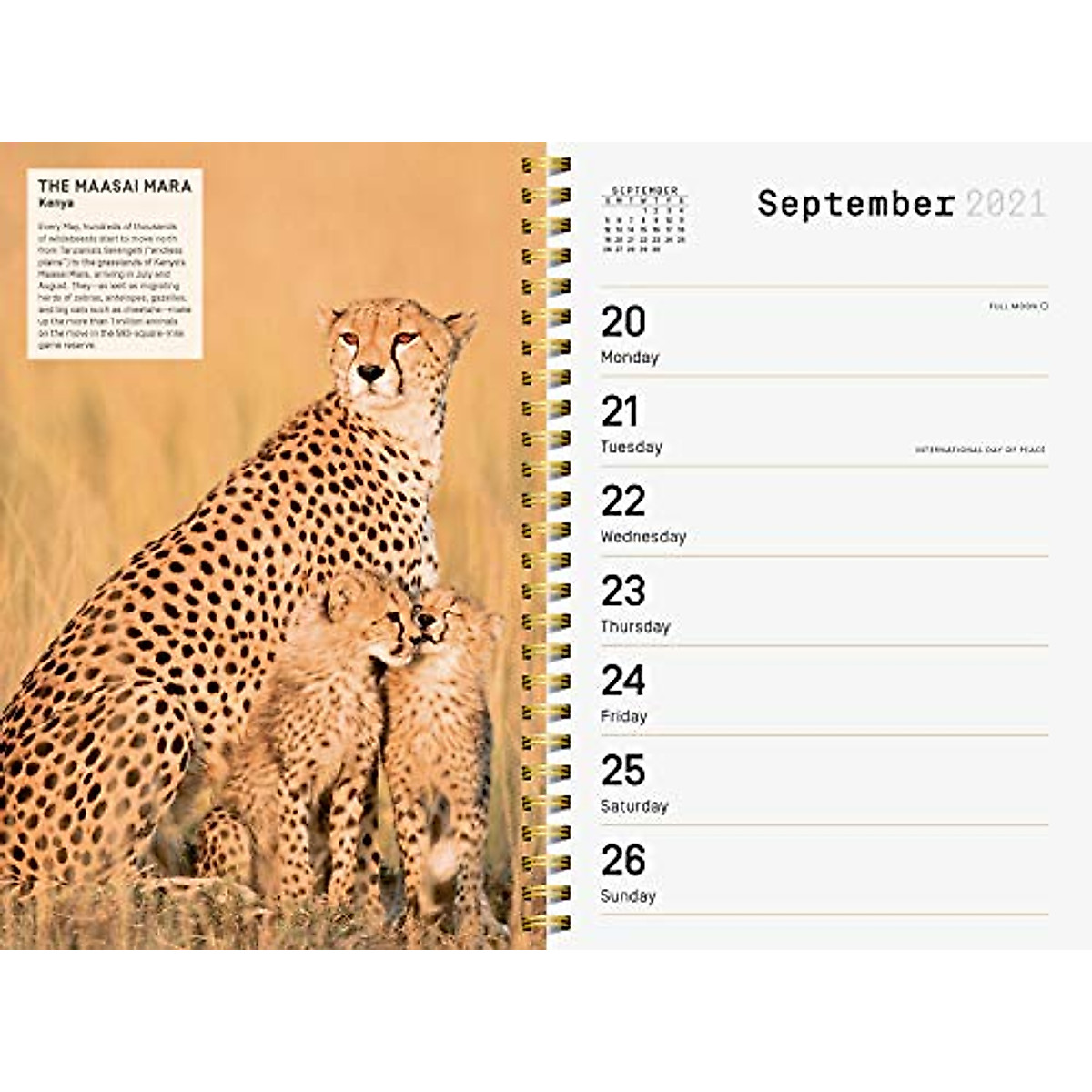 1,000 Places to See Before You Die Engagement Calendar 2021