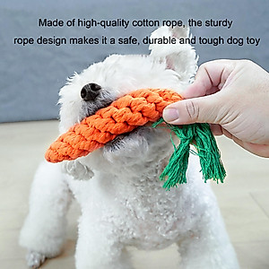 PERZOE Dog Toys, Carrot Shape Chew Toy,Squeaky Gift for Puppy Birthday Cute Toys for Small to Medium Dogs,Durable Toy for Aggressive Chewer Carrot Set