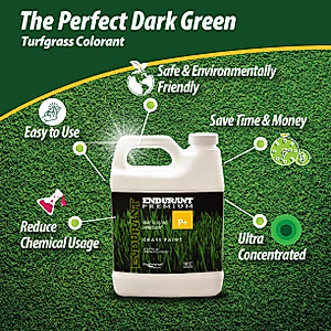 Endurant Green Grass Paint for Lawn and Fairway Treats Dry or Patchy Lawn – Pet Friendly Eco-Friendly Spray Paint and Turf Grass Dye