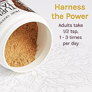 Host Defense, Turkey Tail Mushroom Powder, Supports Immune Health, Mushroom Supplement, Plain, 3.5 Ounce (Pack of 1)
