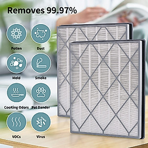 HE401 Filter Replacement for Shark Air Purifier 4-Fan Models, H13 True HEPA Filter Replacement Compatible With Shark HE401 HE402 HE405 HE400, HE4FKPET HE4FKPRO HE4FKBAS 100356-chn-1 Filter, 2 Pack