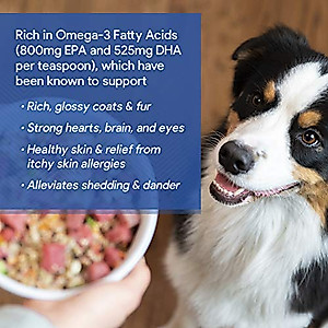 Dr. Harvey's Health & Shine Omega 3 Fish Oil for Dogs from Wild Caught Mackerel, Herring, Anchovies and Sardines - Supports Beautiful Fur, Strong Joints and Itchy Allergy Relief (16 FL OZ)