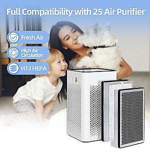25 Replacement Filter Compatible with Model Air 25 Air Purifier S1/W1/B1, 3-in-1 H13 True HEPA Filter and Activated Carbon House Air Filters- 4 pcs Filters