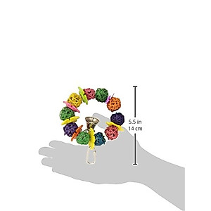 Super Bird Creations SB759 Daisy Ring Bird Toy, Small Bird Size, 6" x 4"