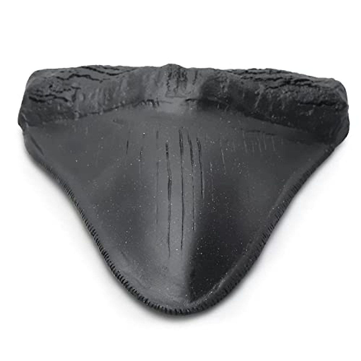 Megalodon Shark Tooth Fossil Giant Shark Tooth Megalodon Tooth Replica (Black)