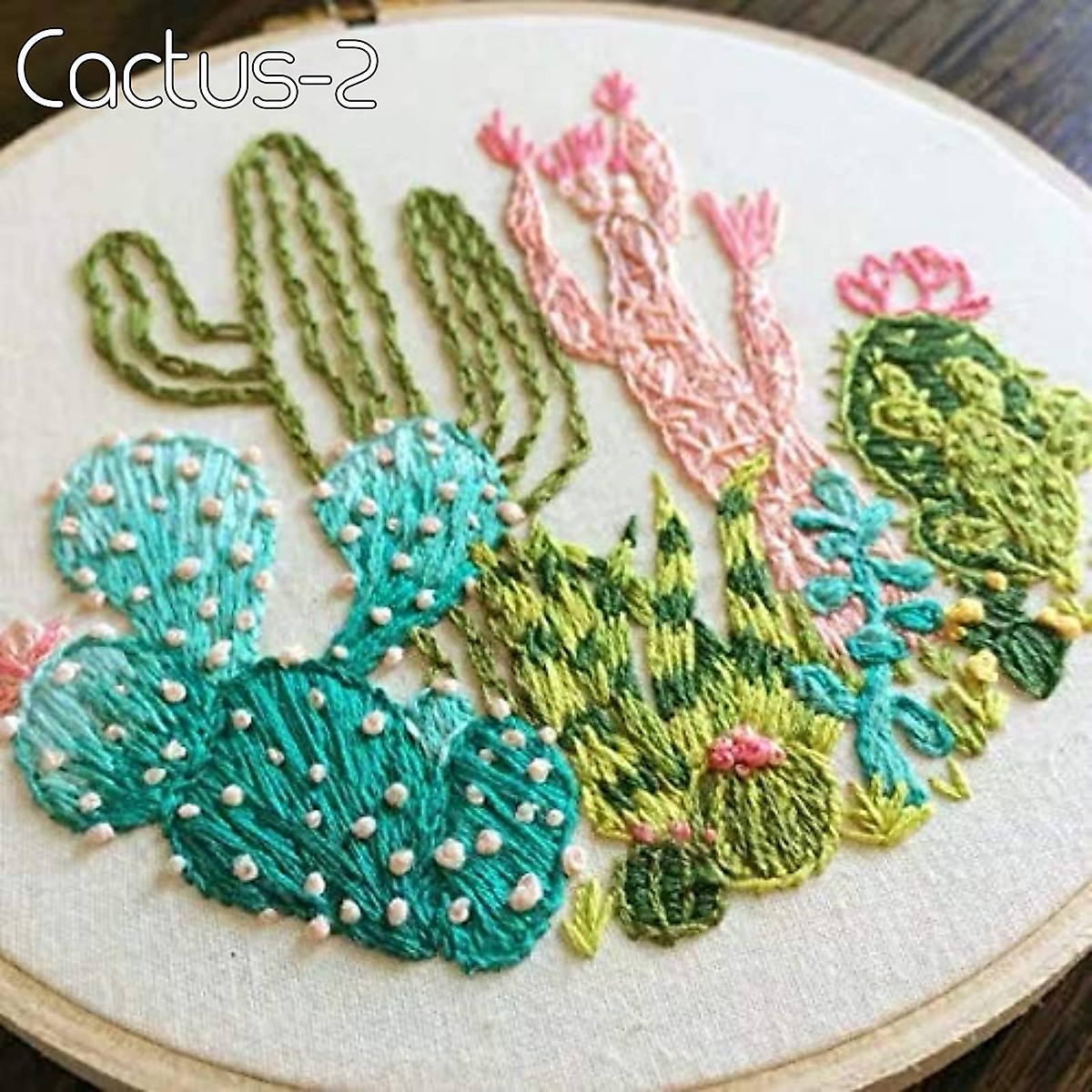 Highkick Embroidery Starter Kits for Adults Beginners with Stamped Pattern, Embroidery Floss + Needles + Hoop, Cactus Series, 3 Pack