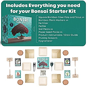 Indoor Bonsai Tree Kit - Bonsai Tree Starter Plant Kit + Bonsai Seeds Gift Sets - Arts and Crafts DIY Kits for Adults, Unique Gardening Gifts for Women & Men, Plant Lovers Gift Gardening Craft Kits