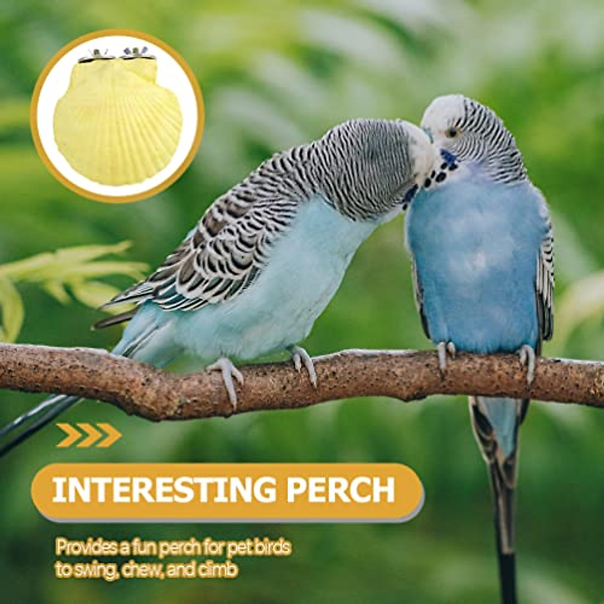 PATKAW Bird Perch Bird Beak Stone Mineral Lava Blocks Trimming Chew Toys Pumice Stones Parrot Perch Stand for Conures Cockatiels Parrots Random Color