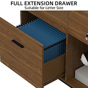 Visionwards Wood Filing Cabinet 2 Drawer, Lateral File Cabinet for Letter Size, Printer Stand with Open Storage Shelves, File cabinets for Home Office, Black/Rustic Brown