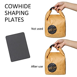 Funfmm Lunch Bag for Women/Men,Reusable Lunch Bag with Water-Resistant Tyvek Material,Insulated Lunch Bag,Lunch Box Containers,Bento Lunch Bag,Lunch Box for Women,Brown Bag