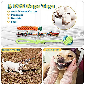 LOYEE 8 Pack Puppy Toys, Squeaky Plush Dog Toys for Small Dogs, Cute Puppy Teething Chew Toy, Safe Ropes Toys