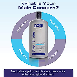 Dr. Fischer Purple Conditioner for Platinum, Silver, Gray and Color Treated Hair - Removes Brassy/Yellow Tones (13.5 fl. oz.)
