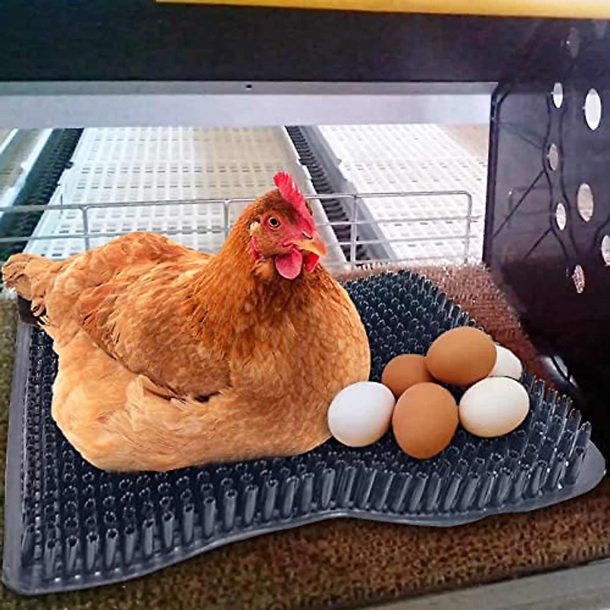 Hamiledyi Chicken Nesting Box Pads, 6PCS Hen Nest Mats Washable, Chicken Nesting Box Plastic Liners, Reusable Egg Laying Mats for Chicken Coop Poultry Nest Boxes Ducks