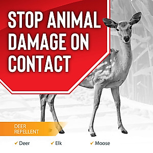 Deer Stopper II Garden Animal Repellent - Safe & Effective, All Natural Food Grade Ingredients; Repels Deer Elk, and Moose; Easy to Use, 1 Gallon Liquid Concentrate