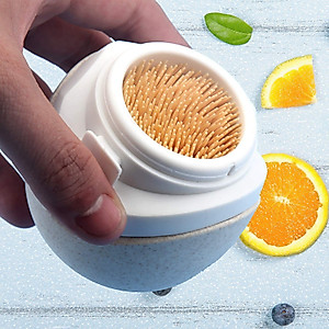 Cute Toothpick Holder Dispenser with 100 Natural Bamboo Toothpicks, Awsaccy Portable Plastic Funny Decorative Toothpick Container Storage Box for Kitchen Restaurant Party Car, Unique Gift Idea (Owl)